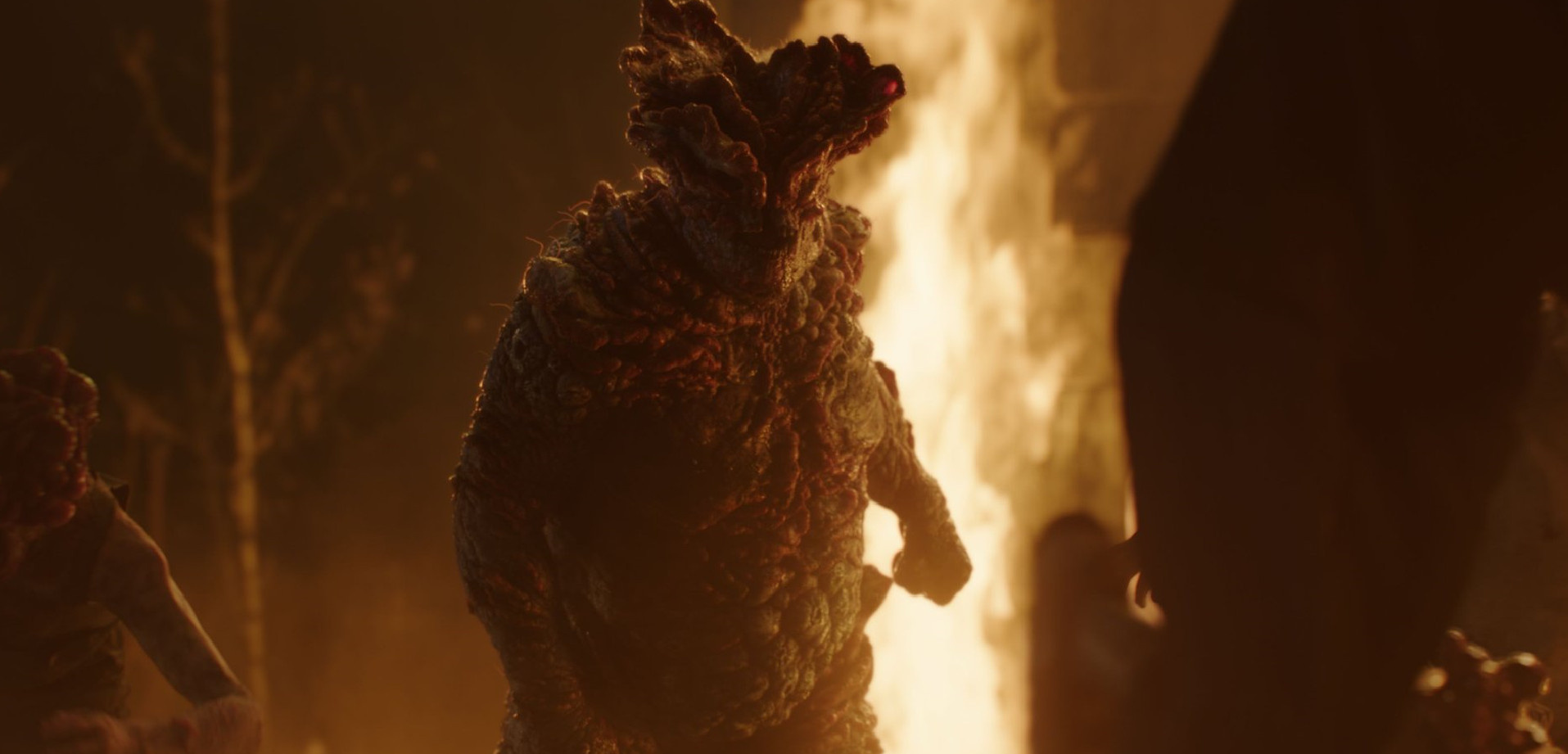 На съёмках сериала The Last Of Us запретили произносить слово «зомби